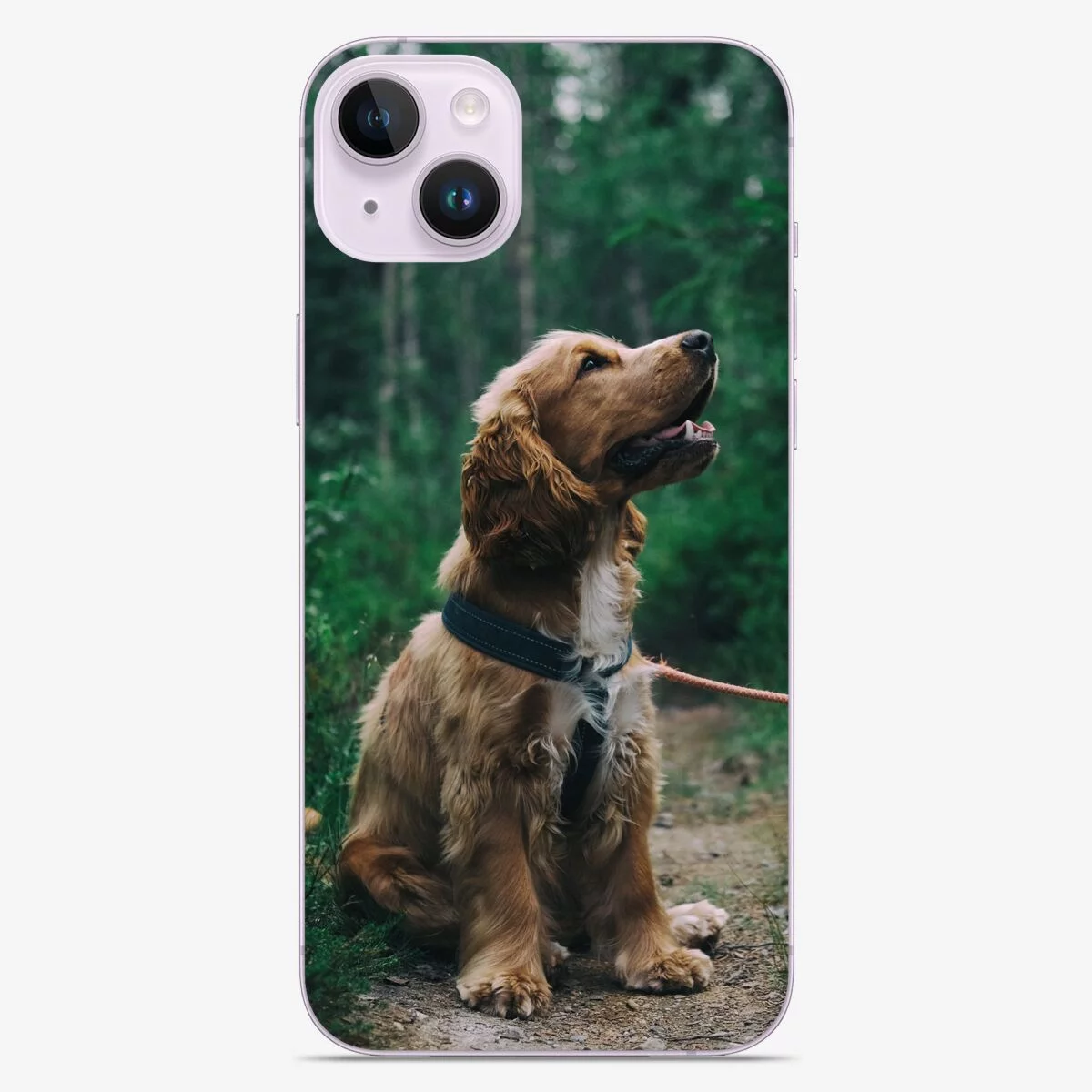 Personalised iPhone 14 Plus Skin | Wrappz